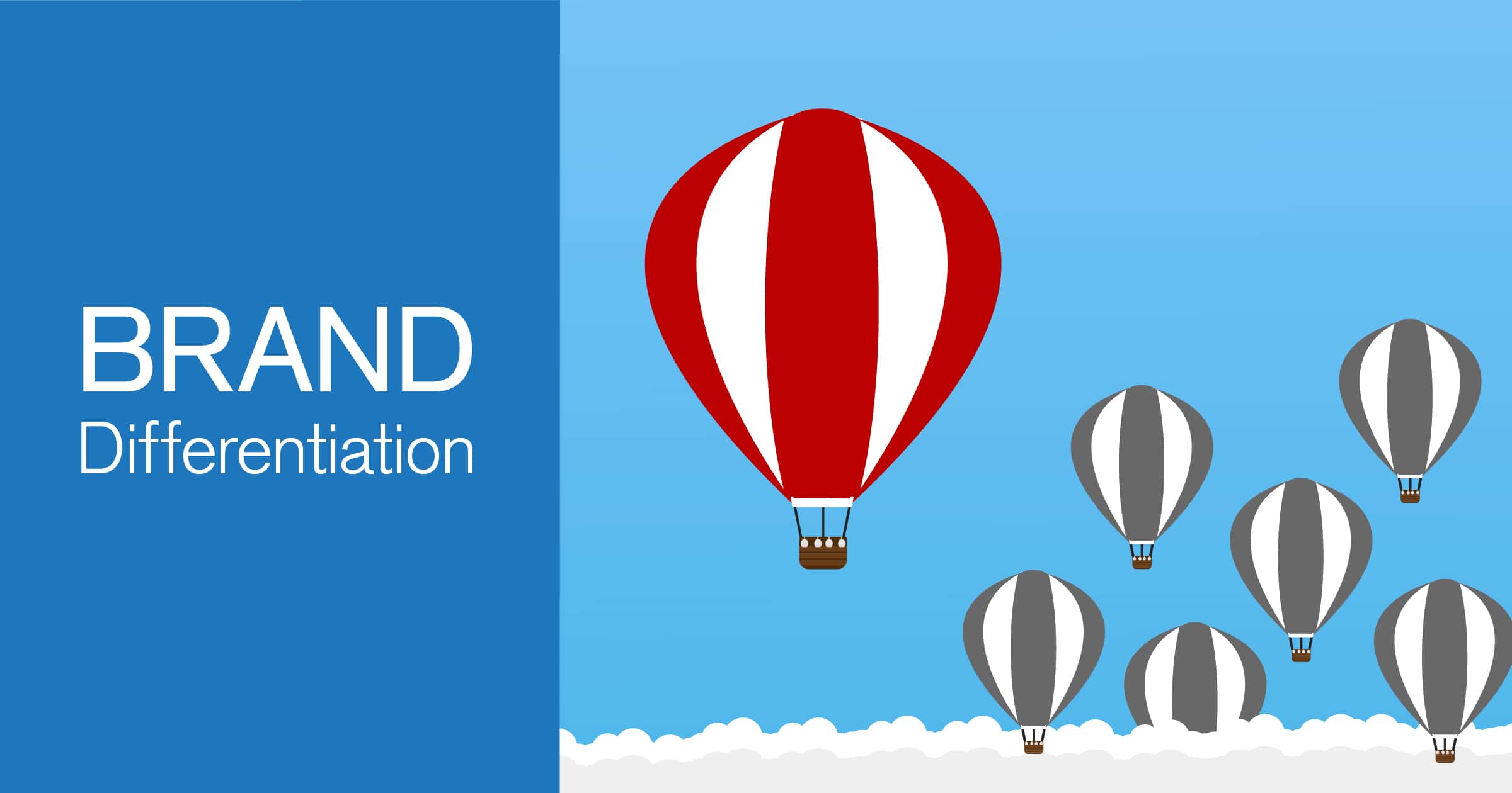 Competitive Differentiation - Blue Door Consulting, Oshkosh, WI